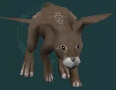 Leviasquall | SWG Wiki | Fandom