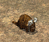 Bantha | Star Wars Galactic Battlegrounds Wikia | Fandom