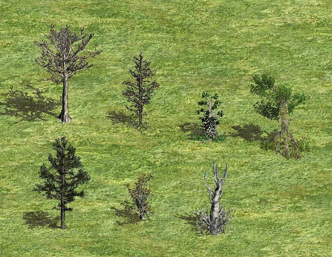 Tree | Star Wars Galactic Battlegrounds Wikia | Fandom