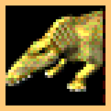 Orray | Star Wars Galactic Battlegrounds Wikia | Fandom