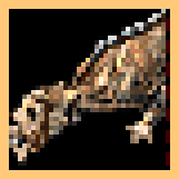 Tusk Cat | Star Wars Galactic Battlegrounds Wikia | Fandom