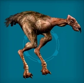 Carrion Spat | SWGEmu Wiki | Fandom