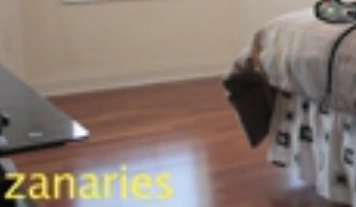 Zanaries | SWooZie Wiki | Fandom