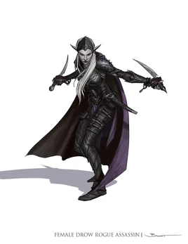 Vyerith Xorlarrin | Sword Coast Adventurers Wiki | Fandom