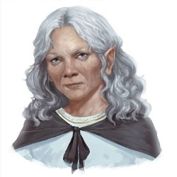 Qelline Alderleaf | Sword Coast Adventurers Wiki | Fandom