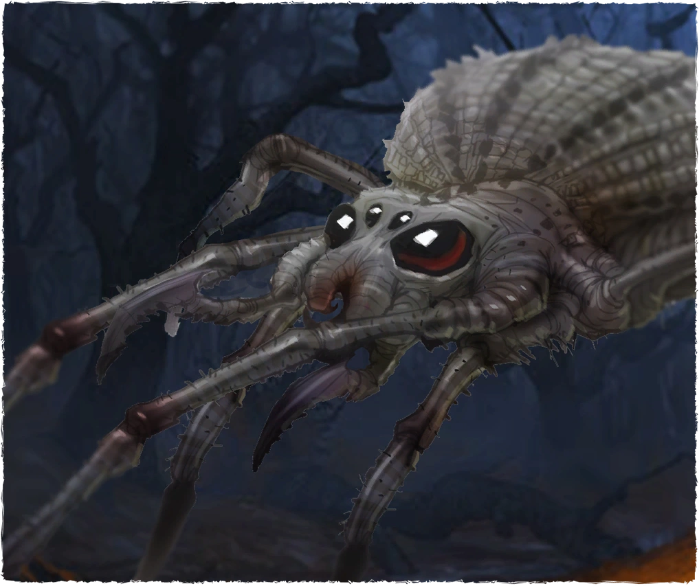 Spider | Sword Coast Legends Wiki | Fandom
