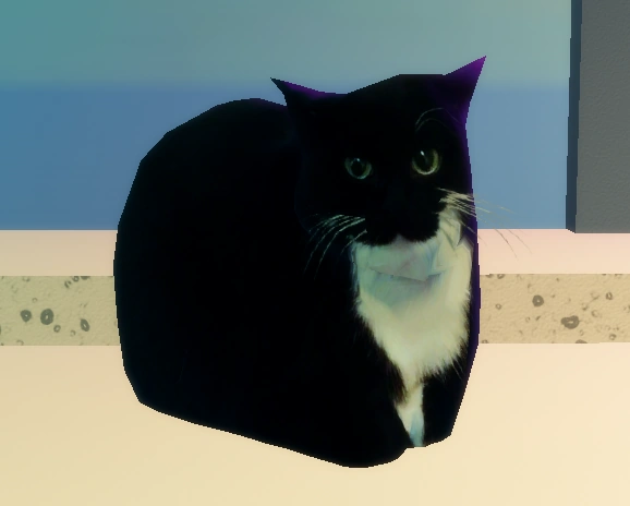 Cats Approval | Sword-Blox-Online-Rebirth Wiki | Fandom