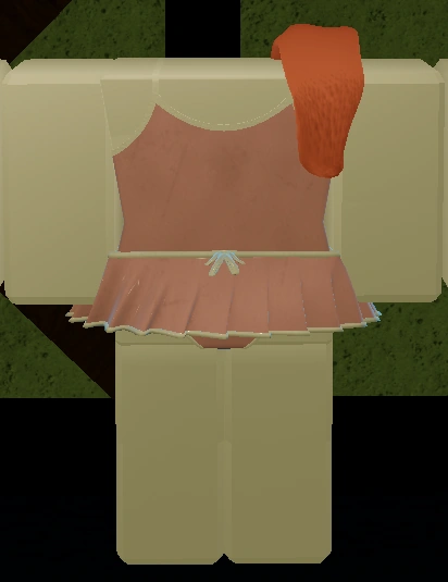 Summer Swim Bundle (All Colors) | Sword-Blox-Online-Rebirth Wiki | Fandom