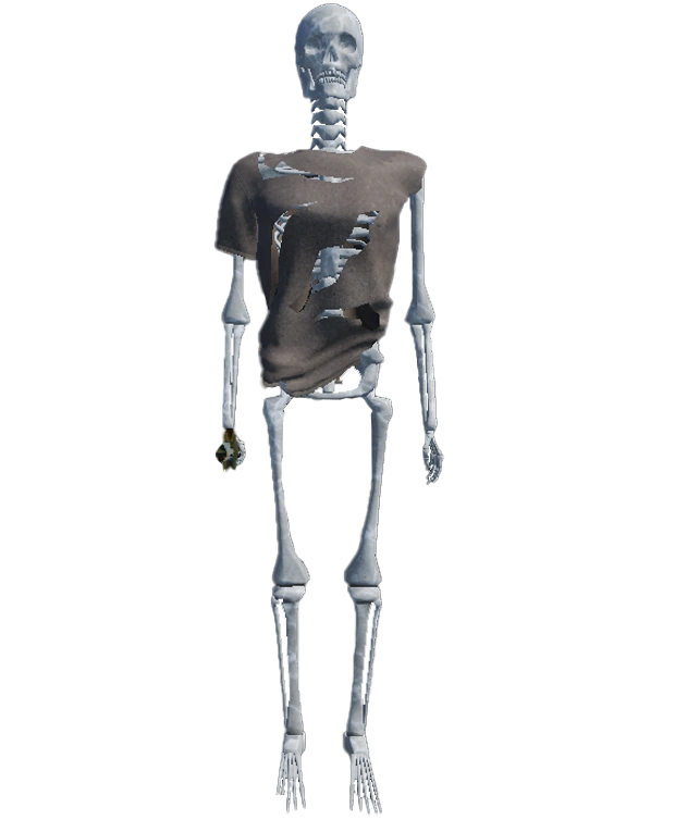 Skeleton | Sword-Blox-Online-Rebirth Wiki | Fandom