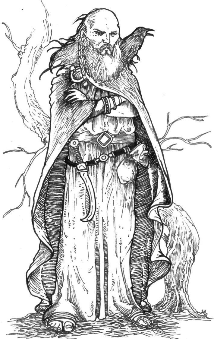 Shaman | Swords in the Underworld Wiki | Fandom