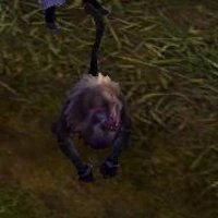 Mad Monkey - Official Swordsman Wiki