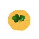Pumpkin Shield - Official Swords 'n Magic and Stuff Wiki