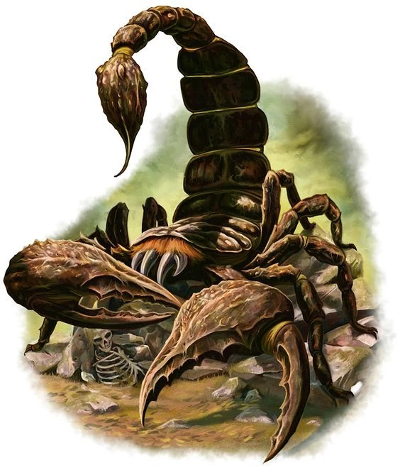 Blade Scorpion | Star Wars Saga Edition Wiki | Fandom