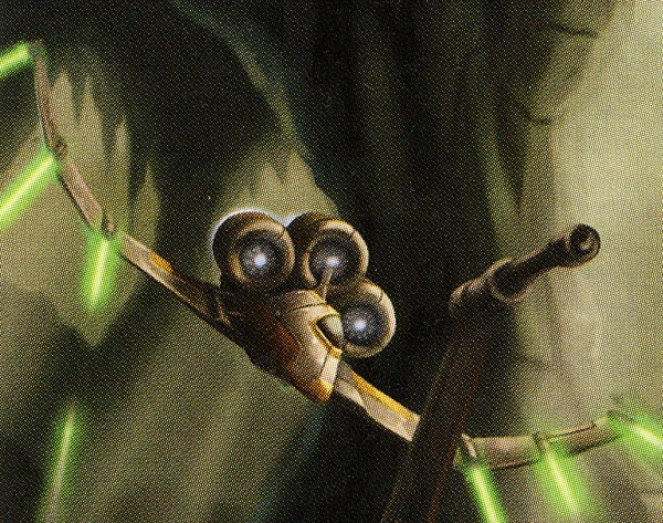 The Krath | Star Wars Saga Edition Wiki | Fandom