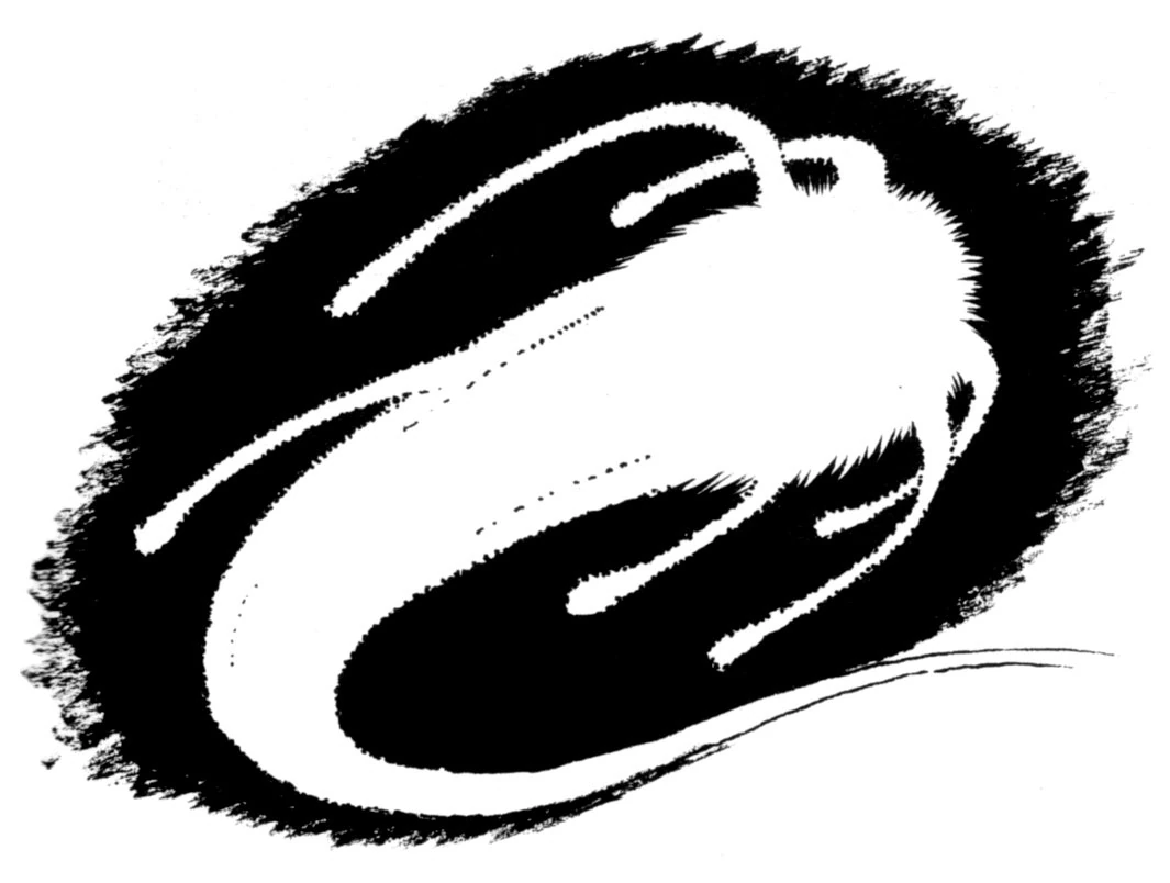 Bogey | Star Wars Saga Edition Wiki | Fandom