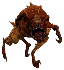 Beasts | Star Wars Saga Edition Wiki | Fandom