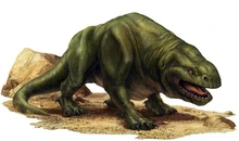 Mounts | Star Wars Saga Edition Wiki | Fandom