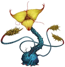 The University of Sanbra's Guide to Xenobiology | Star Wars Saga ...