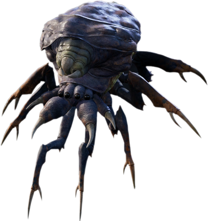 Bane Back Spider | Star Wars Saga Edition Wiki | Fandom
