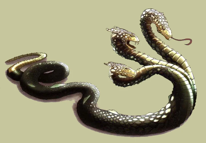 Divto | Star Wars Saga Edition Wiki | Fandom