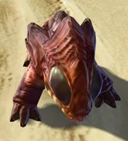 Pets | Star Wars: The Old Republic Wiki | Fandom