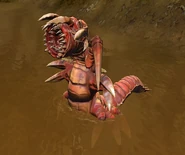 K'lor'slugs | Star Wars: The Old Republic Wiki | Fandom