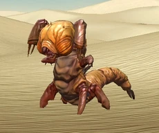 Sand worms (Tatooine) | Star Wars: The Old Republic Wiki | Fandom