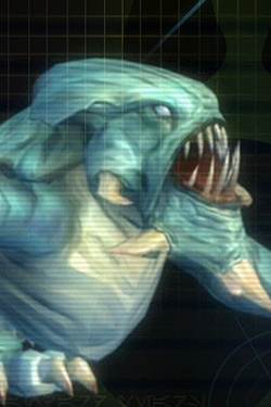 Vine cat - Star Wars: The Old Republic Wiki