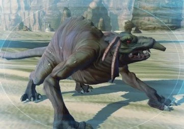 Womp Rat - Star Wars: The Old Republic Wiki