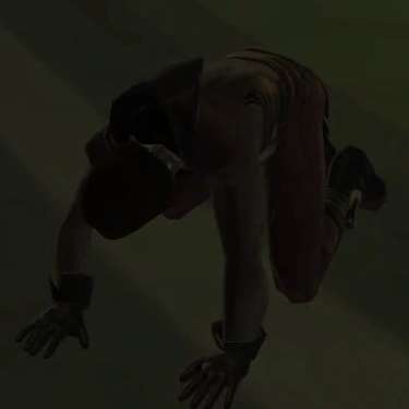 Slave (Nem'ro's Palace) - Star Wars: The Old Republic Wiki