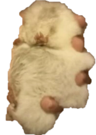 Toby | SXF's Nextbots Wiki | Fandom