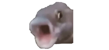 Fish Pog | SXF's Nextbots Wiki | Fandom