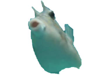 Fish | SXF's Nextbots Wiki | Fandom