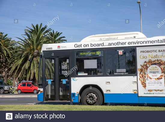 Route 191 | Sydney Buses Wiki | Fandom
