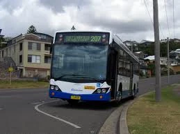 Route 207 | Sydney Buses Wiki | Fandom