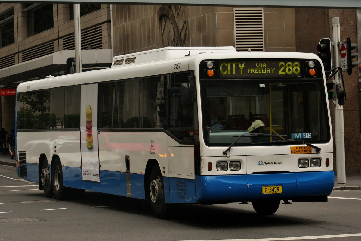 Route 288 | Sydney Buses Wiki | Fandom