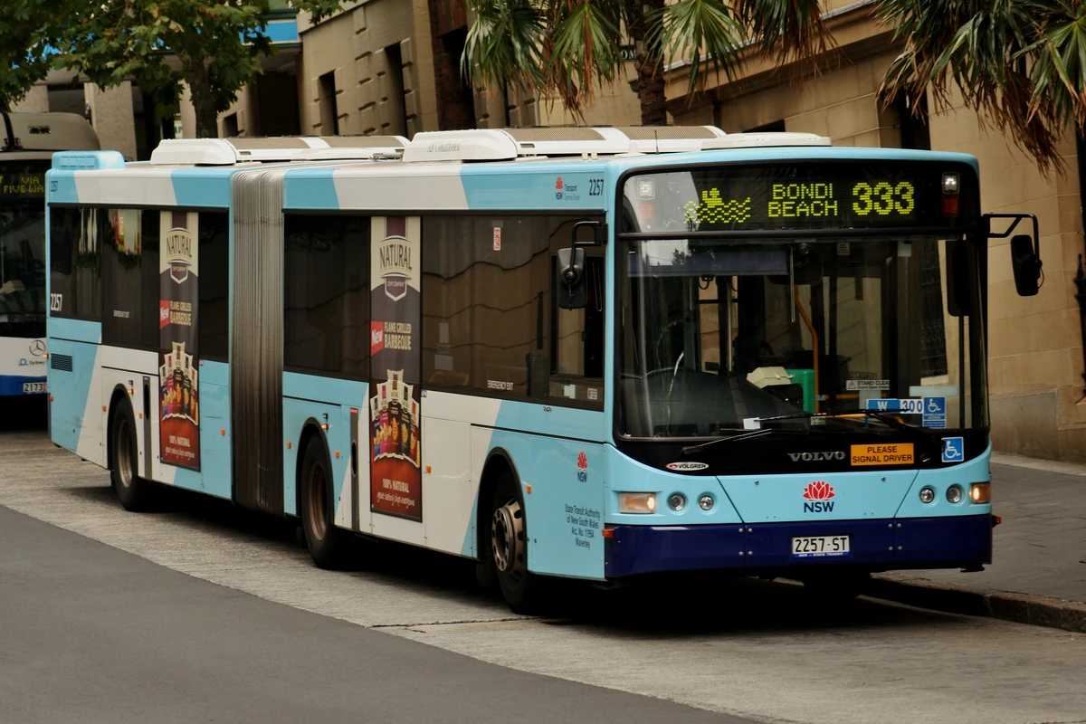 Route 333 | Sydney Buses Wiki | Fandom