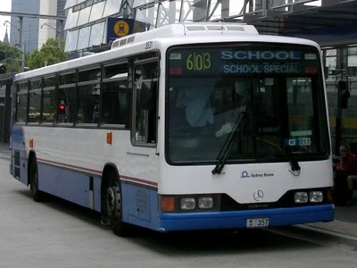 Mercedes-Benz O405 (Custom Coaches '516') | Sydney Buses Wiki | Fandom