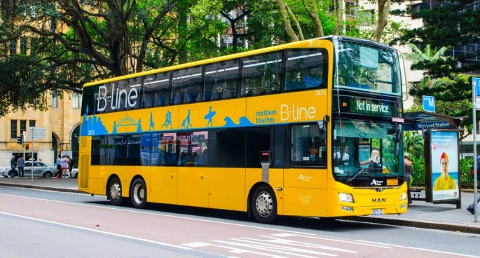 B-Line Route B1 | Sydney Buses Wiki | Fandom
