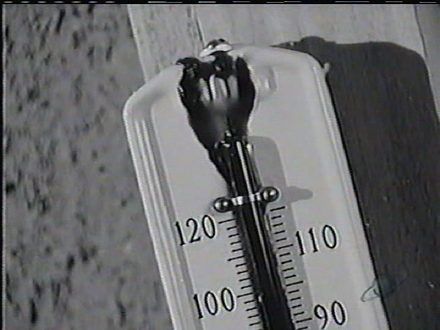 January 1, 1999 | Syfy Schedule Archive Wiki | Fandom