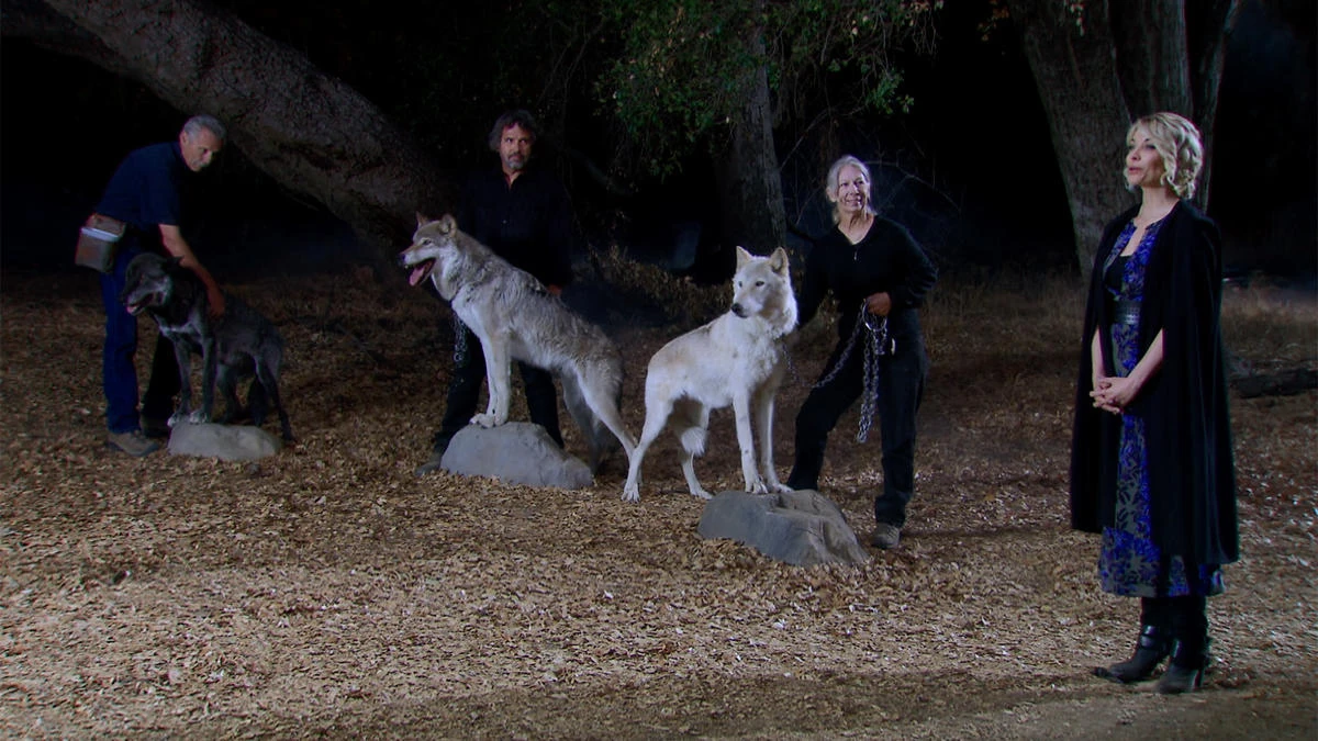 Pack Leaders | Syfy's Face Off Wiki | Fandom