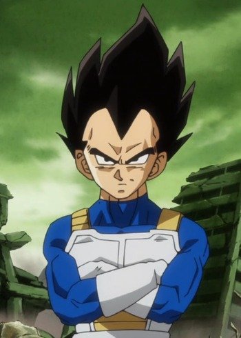 Vegeta | Sympathetic Villains Wiki | Fandom