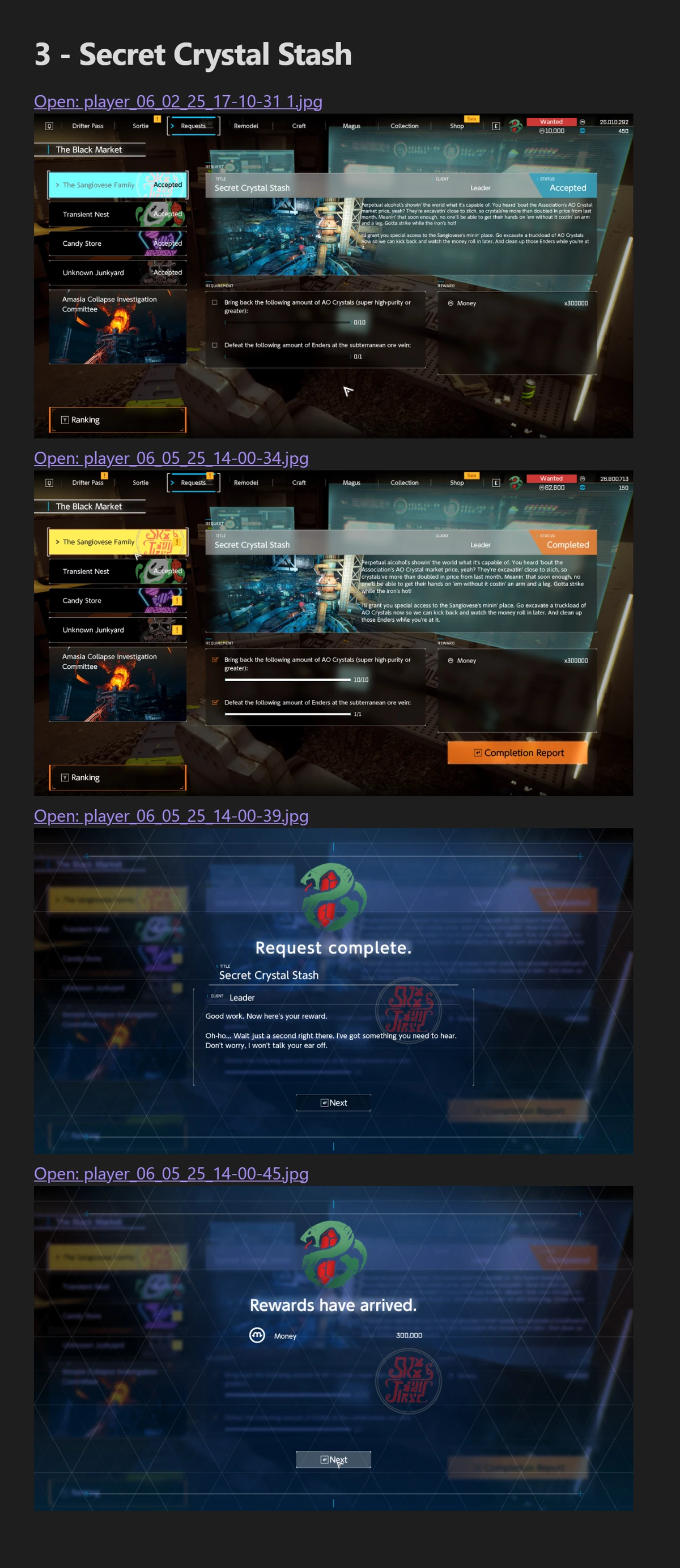 Secret Crystal Stash | Synduality Wiki | Fandom