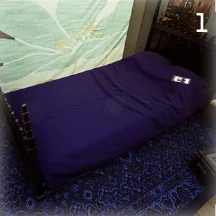 Bed & Rug B | Synduality Wiki | Fandom