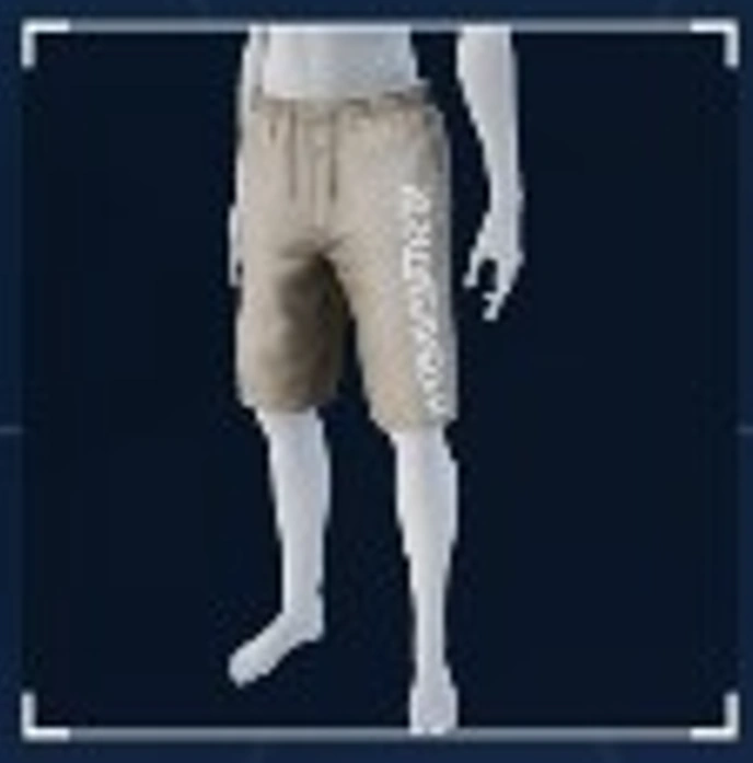 Casual Half Pants - B | Synduality Wiki | Fandom