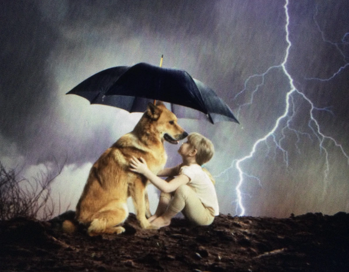 Self-mistrustful Synonyms | Synonyms & Antonyms Wiki | Fandom