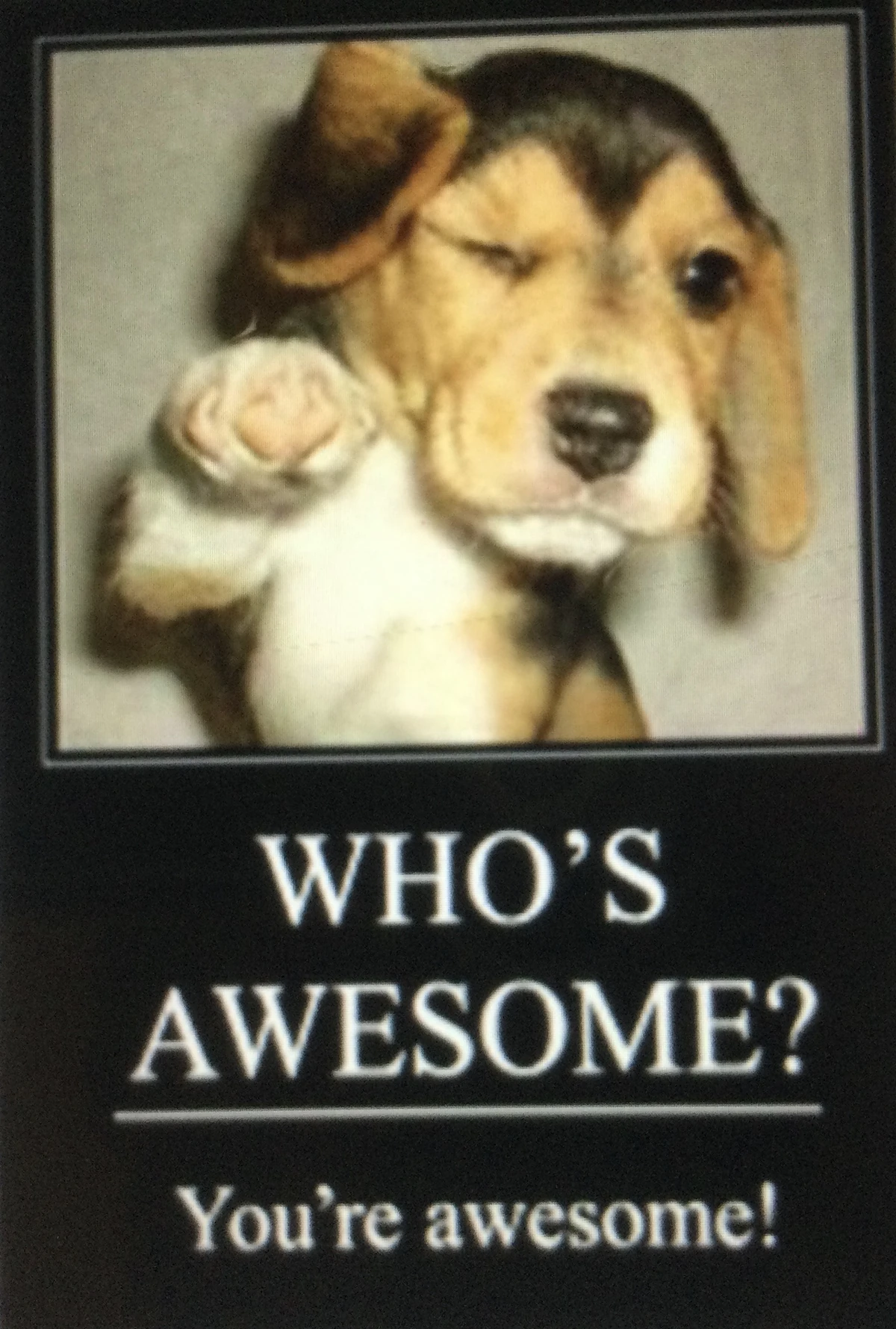 Awesome Synonyms | Synonyms & Antonyms Wiki | Fandom
