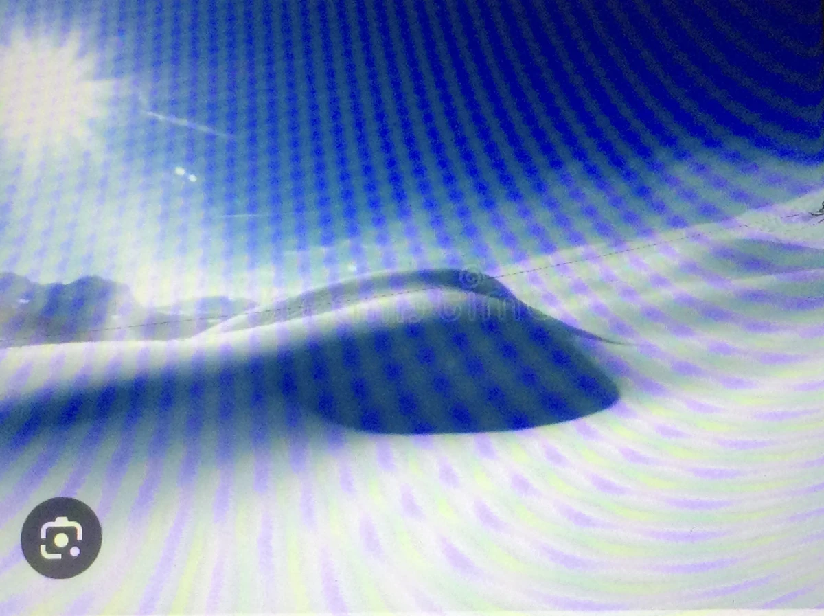 Snowy Synonyms | Synonyms & Antonyms Wiki | Fandom