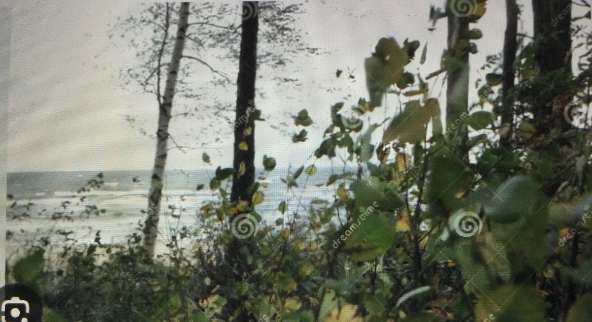 Squally Synonyms | Synonyms & Antonyms Wiki | Fandom