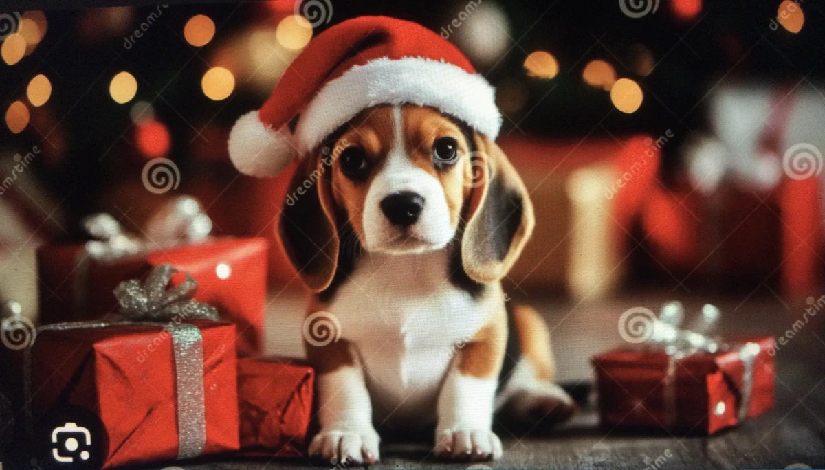 Inoffensive Synonyms | Synonyms & Antonyms Wiki | Fandom